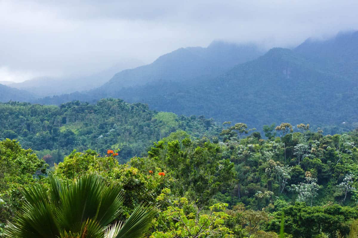 Visiting El Yunque National Forest, Puerto Rico - El Yunque Website