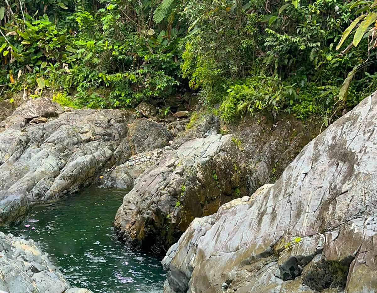 El Yunque Waterslide and Rainforest Hike - El Yunque Website