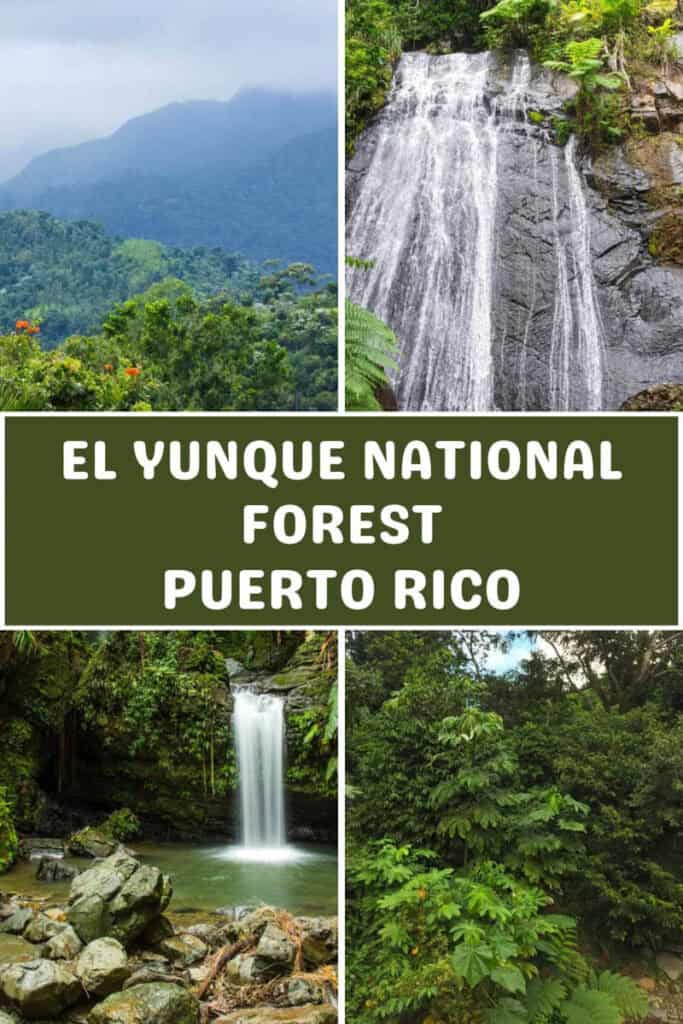 Visiting El Yunque National Forest, Puerto Rico - El Yunque Website